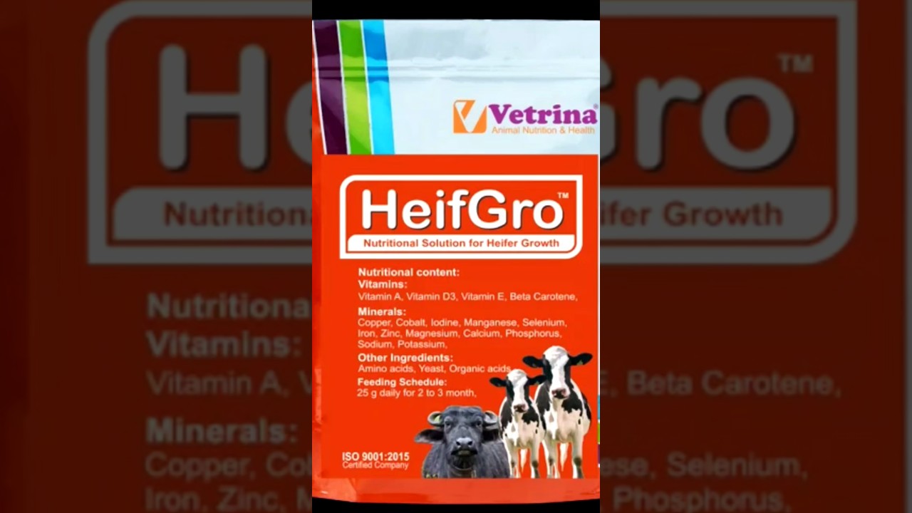 HeifGro powder #vetrina #vetguru #vitamins #minerals #calfbooster #heifers