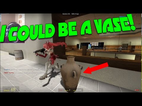 Steam Community :: Video :: "GMOD I COULD BE A VASE! 85% of People wont ...