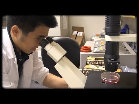 Alpha Clinic Stem Cell Clinics Network: Paving a Path to Cures