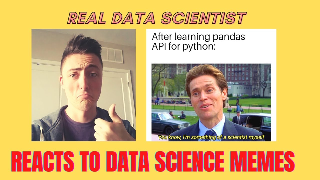REAL Data Scientist Reacts to REAL Data Science MEMES