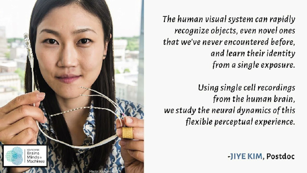 Kreiman lab introduction, 2020