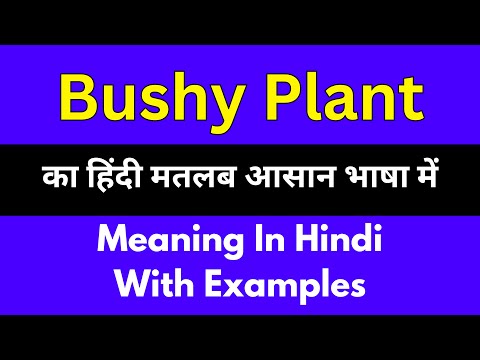 Bushy plant meaning in Hindi/Bushy plant का अर्थ या मतलब क्या होता है.