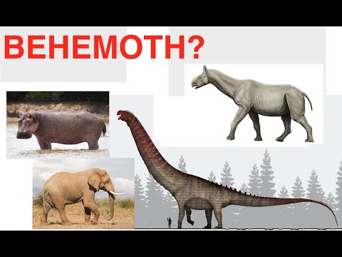 WHAT IS THE BEHEMOTH IN THE BIBLE???