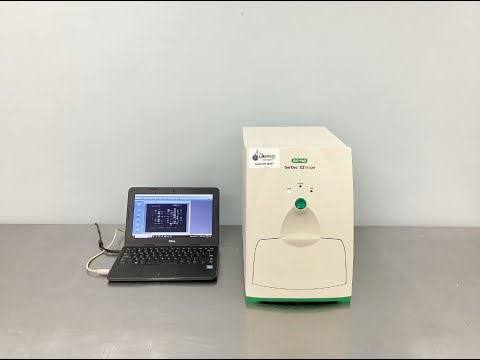 BioRad Gel Doc EZ Imager ID 26497