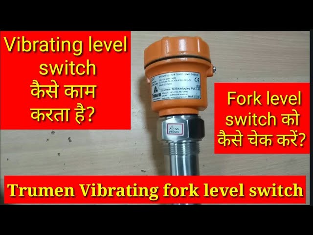 Boiler Level Switches - Paddle Level Switches Service Provider from Mumbai