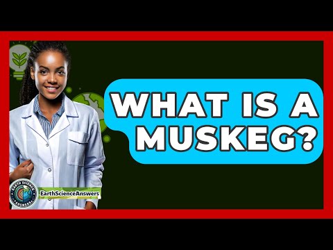 What Is A Muskeg? - Earth Science Answers