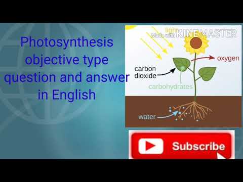 Photosynthesis objective type question and answer in English