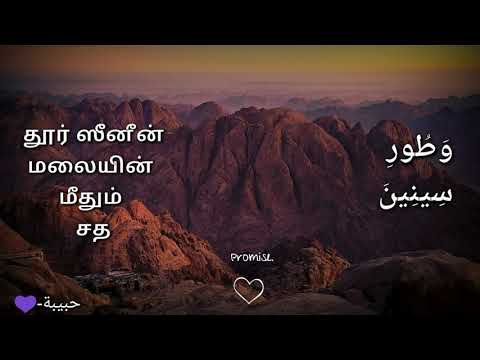 At Tin (The Fig) with Tamil meaning