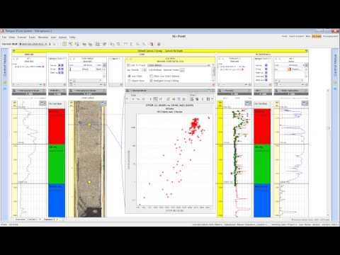 iPoint - Petrophysics Overview