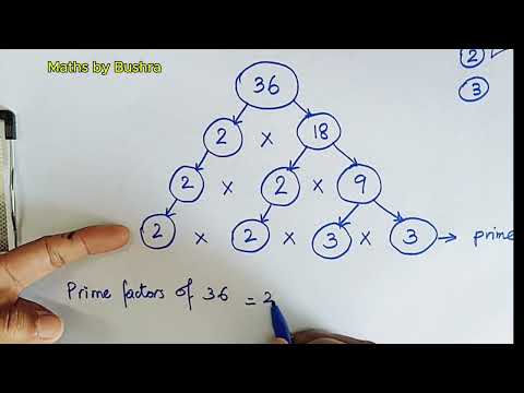 How to Draw Factor Tree of 36 / Factor Tree Method of Prime Factorization / Factors of 36