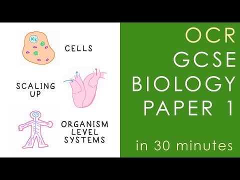 All of OCR BIOLOGY Paper 1 in 30 minutes - GCSE Science Revision (Gateway)