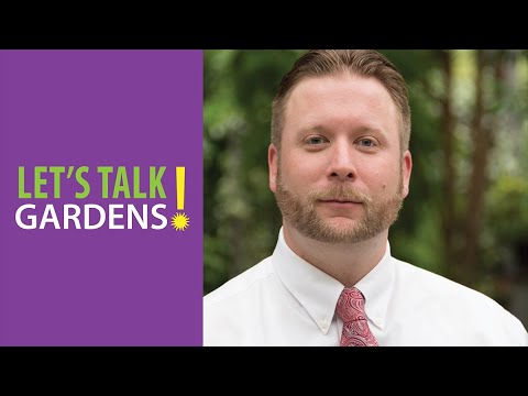 Learning from Nature: The Importance of Field Botany