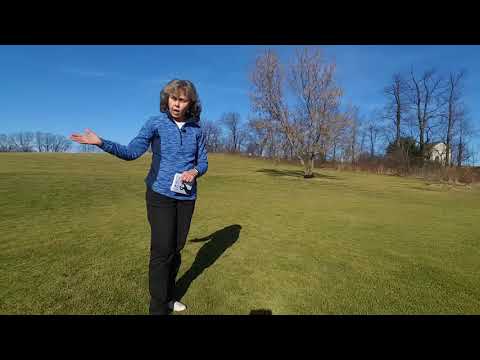 Simplifying the Rules of Golf (The origin of "Fore" and why we use it)