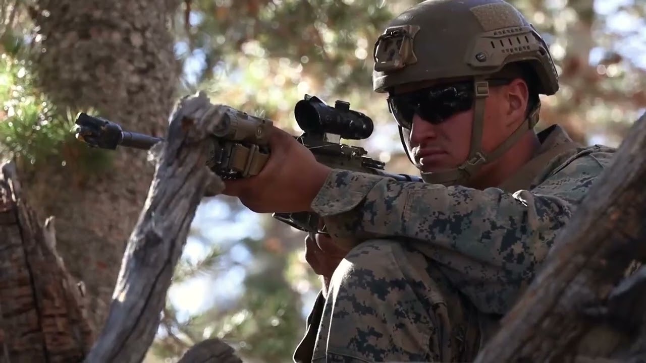 Marines conduct a patrol and simulated casualty evacuations during MTX 1-24