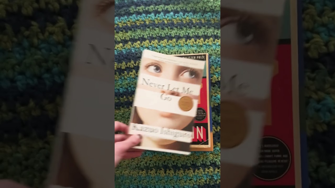 Modern Novels that are a 10/10 #booktube #books #reading #booktok #cozy #chicago #cozy #study #read