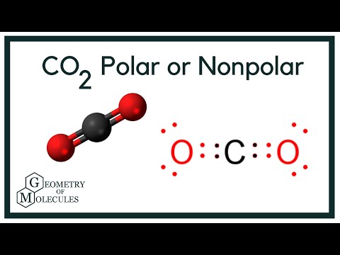 Is co2 polar or non polar - How To Discuss