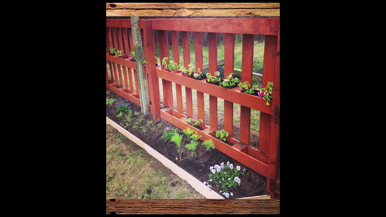 DIY Cheap Fence Ideas series 2 for Your Garden, Privacy, or Perimeter #shorts