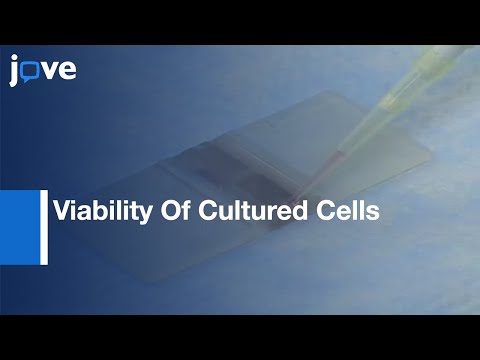 Counting & Determining Viability Of Cultured Cells l Protocol Preview