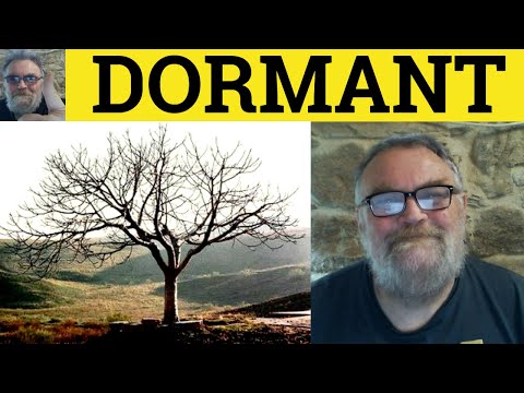🔵 Dormant Meaning - Dormant Examples - Dormancy Definition - GRE Vocabulary - Dormant Dormancy