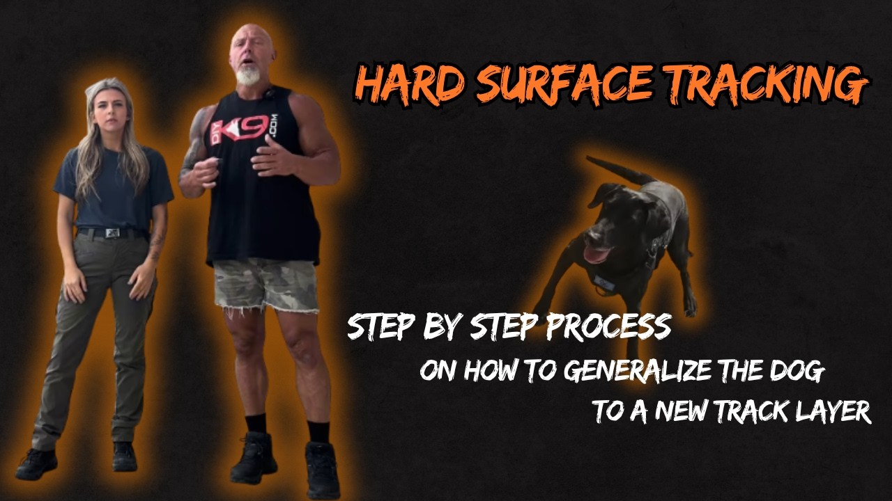 💥HARD SURFACE TRACKING: Step by step process on how to generalize the dog to a new  track layer