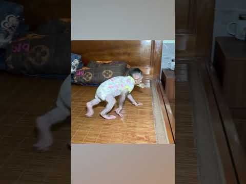 Baby monkey NANA is taking her dad's money and running away #shorts #monkey #smartmonkey #animals