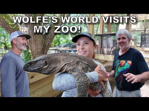 My Interactive Reptile Zoo's First Visitors.