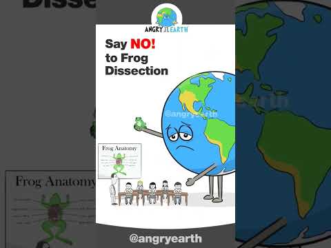 Say NO! to Frog Dissection #shorts