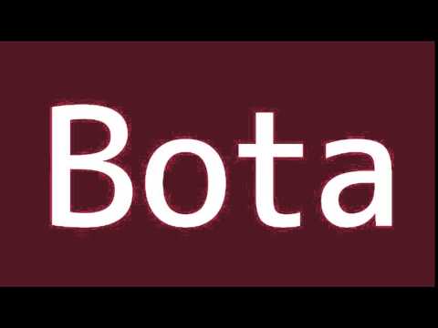 How to say Boot in Spanish