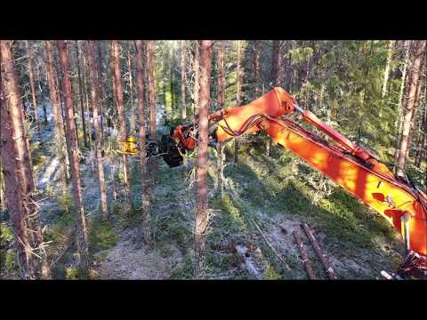 Männikön harvennusta, osa 1 / Hitachi zx 130 + TMK