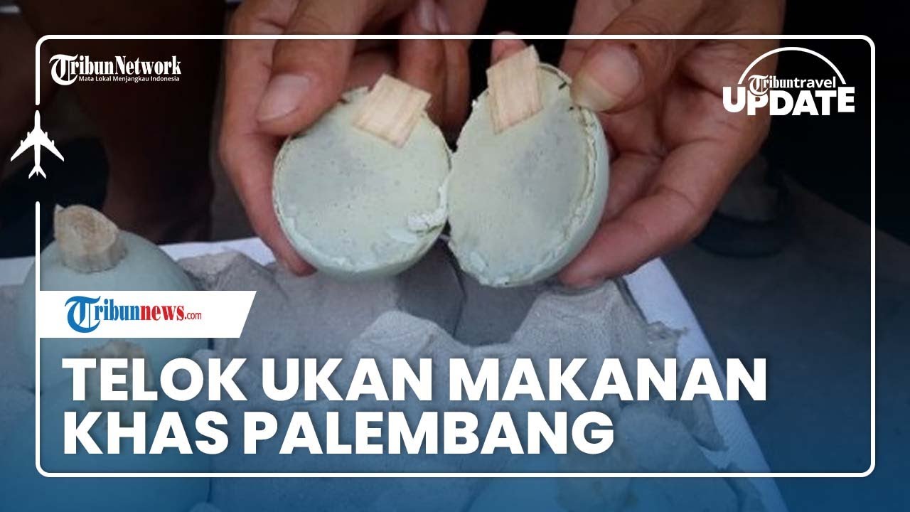Telok Ukan Makanan Khas Palembang yang Cuma Ada Bersamaan Momen ...