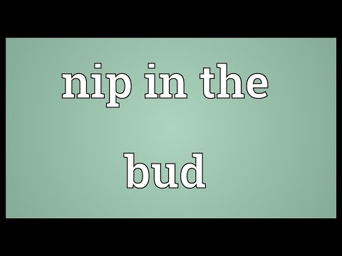 Nip in the bud Meaning