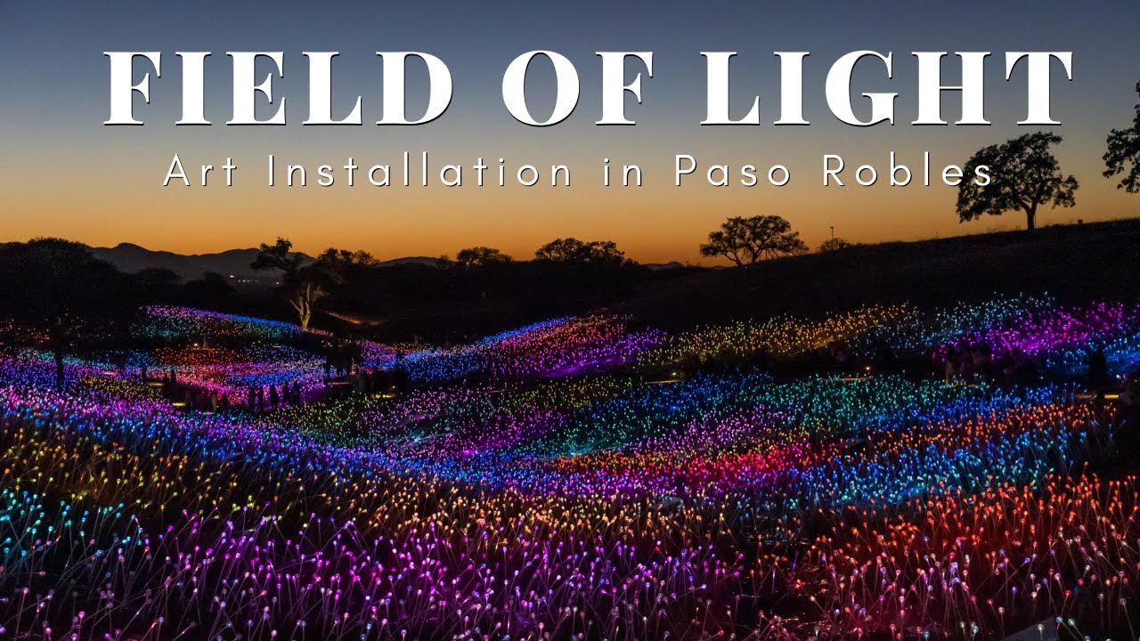 Sensorio: Field of Light Art Installation with over 50,000 Lights in Paso Robles