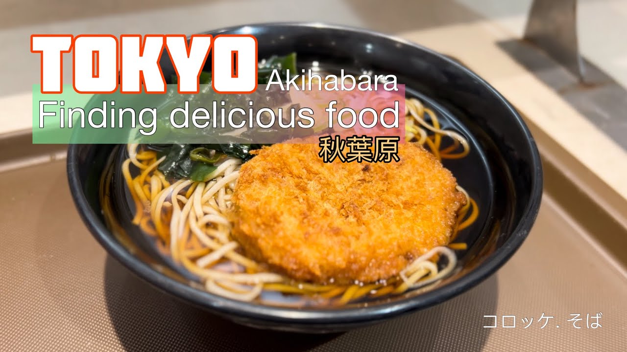 Tokyo, Delicious Food in Akihabara 秋葉原