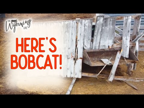 Installing a Vern's Gate - Project List