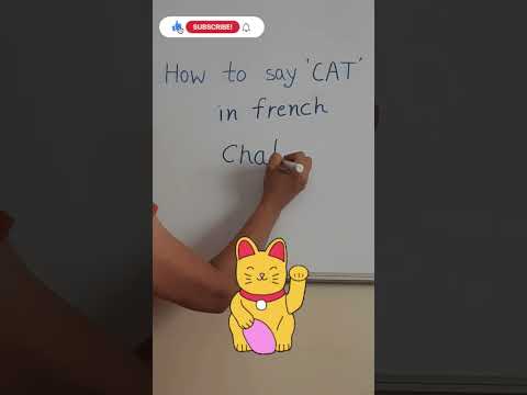How to say 'CAT' in French - Learn French | Onward Academy |#education #france #india #viral#fyp