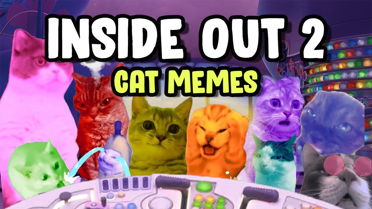 CAT MEMES: INSIDE OUT 2 PARODY 