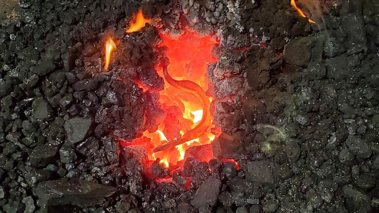 Forge Fire Management For Newbies!