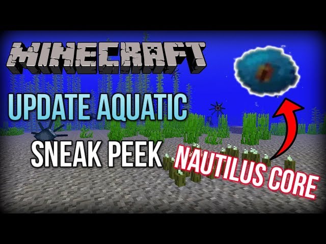 How rare are nautilus shells in Minecraft 1.19 update?