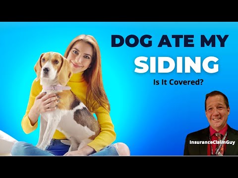 Is Damage From Pets Covered?