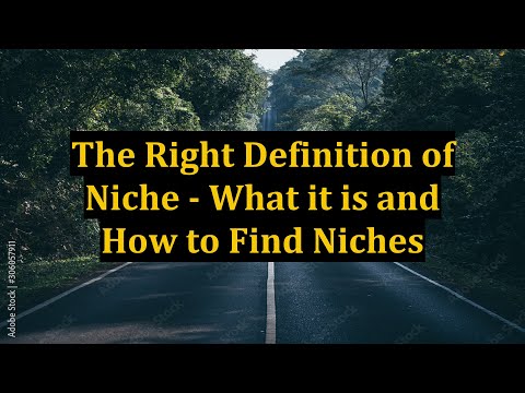 The Right Definition of Niche - What it is and How to Find Niches