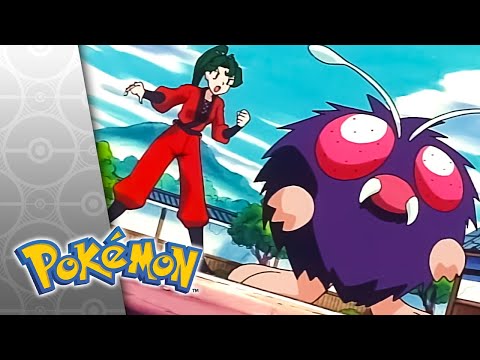 Ariados, Amigos | POKÉMON FULL EPISODE 19 | Season 4