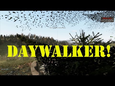 Steam Community :: Video :: DAYWALKER!