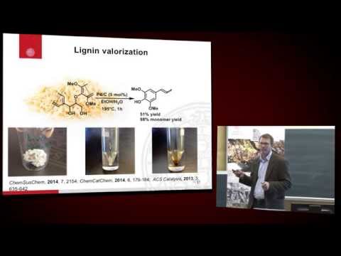 Fuels Materials and Pharmaceuticals from Wood