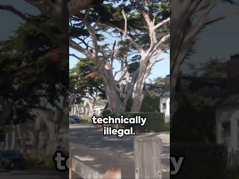 😮 Crazy US Laws You've Never Heard! 🚓 #UniqueLaws