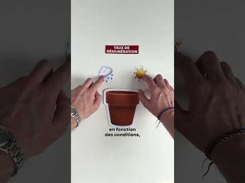 Un compte épargne peut te donner des fleurs, euh…