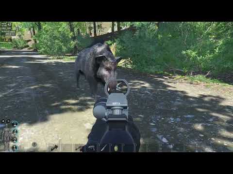 Steam Community :: Video :: SCUM - friendly boar...sort of