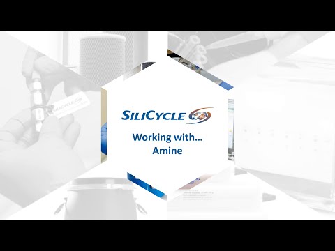 Working with Amine (WAX) Silica Phase