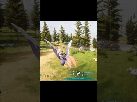 Steam Community :: Video :: Nightwing Flying - Palworld - #shorts