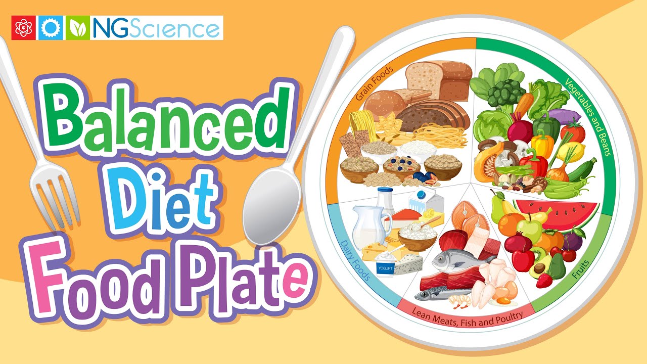 Balanced Diet Food Plate