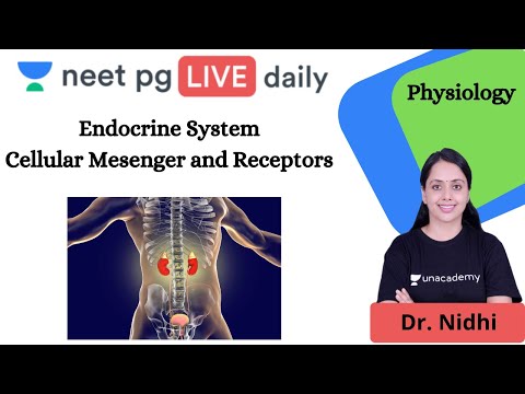 NEET PG: Endocrine System | Cellular Messenger & Receptors | Unacademy NEET PG | Dr. Nidhi